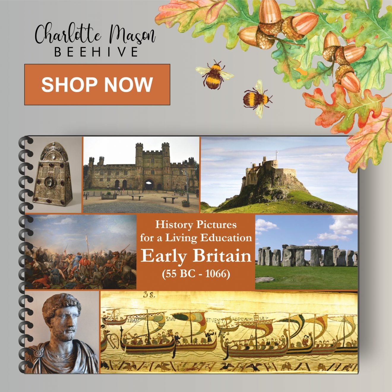 History Pictures for a Living Education: Early Britain – Charlotte ...