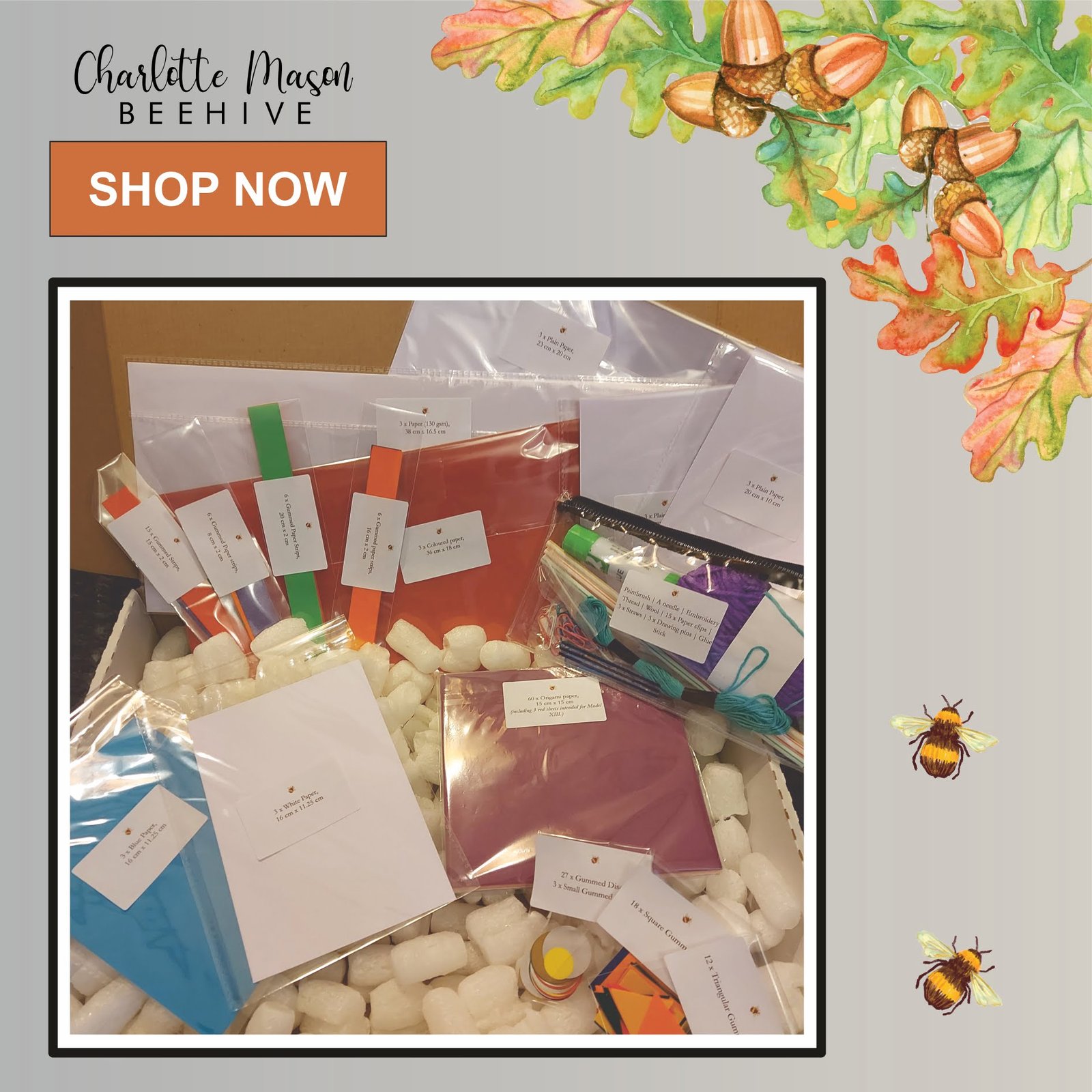 Paper Folding Materials Supply Pack – Charlotte Mason Beehive