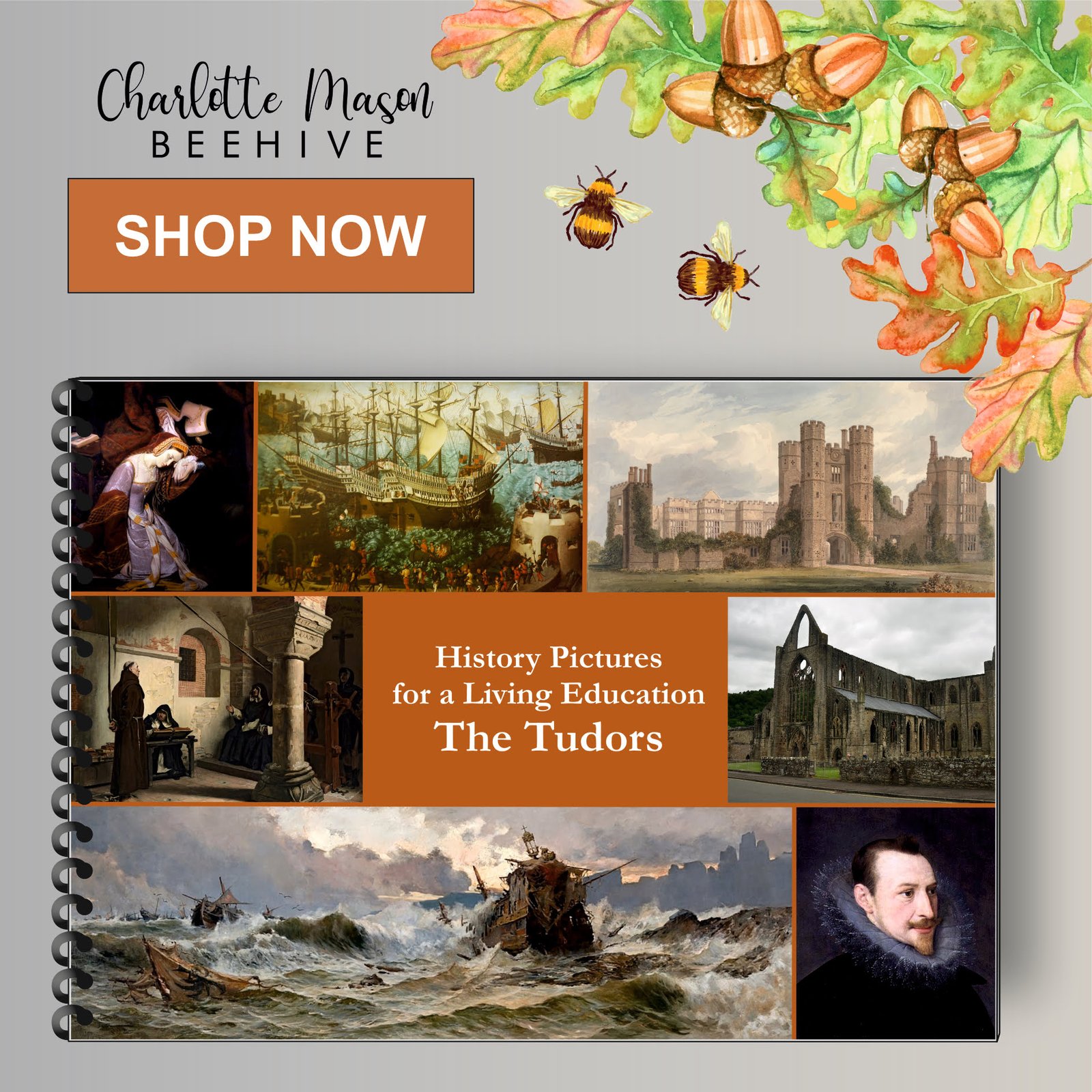 History Pictures for a Living Education: The Tudors – Charlotte Mason ...